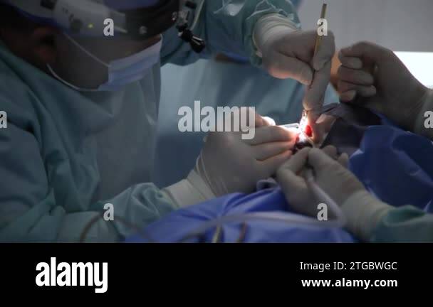 Functional rhinosurgery for the restoration of nasal breathing ...