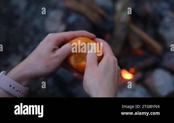 Tangerine forest Stock Videos & Footage - HD and 4K Video Clips - Alamy