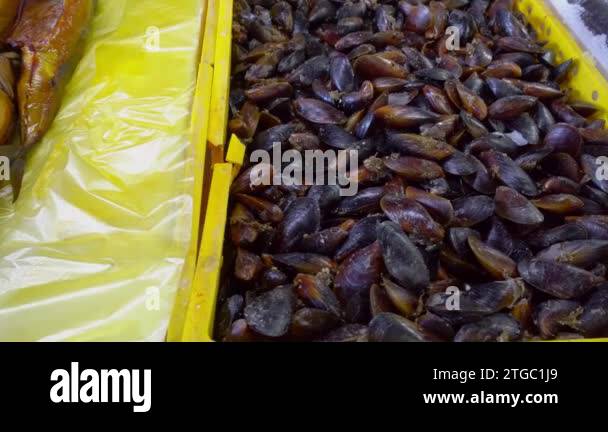 Fresh seafood market in Batumi Georgia. Live fish in ice. Flounder, red ...