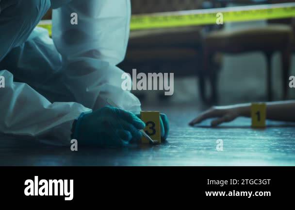 Detective Collecting Evidence in a Crime Scene. Forensic Specialists ...