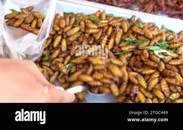Fried larvae and grasshoppers for sell at street food market, Thailand ...