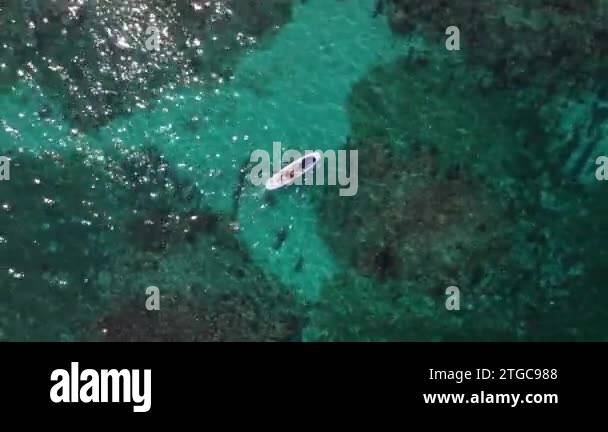 Girl Paddle boarding with Dog over Caribbean Ocean Coral Reefs Stock ...