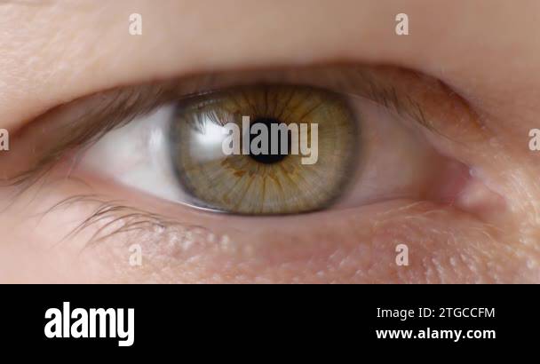 Green male Stock Videos & Footage - HD and 4K Video Clips - Alamy