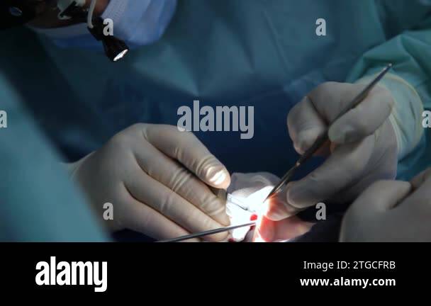 Functional rhinosurgery for the restoration of nasal breathing ...