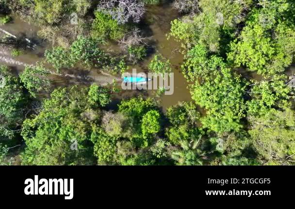 Boat sailing at Amazon river at Amazon forest at Amazonas state Brazil ...