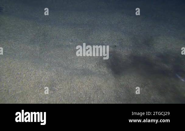 The camera moves slowly through the cloud of ink released by Common ...