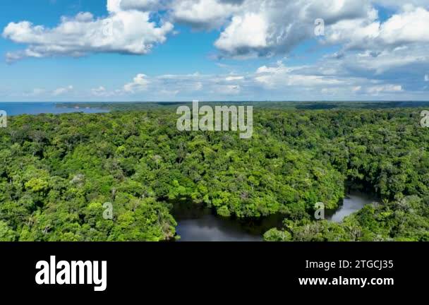 Manaus Brazil. Taruma River at Amazon Forest affluent of giant Black ...