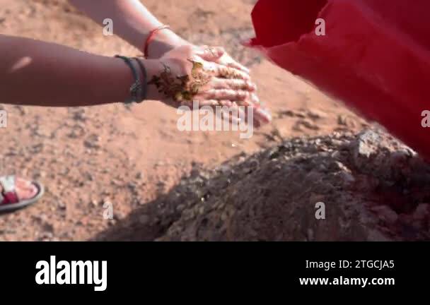 Arabic woman washing Stock Videos & Footage - HD and 4K Video Clips - Alamy