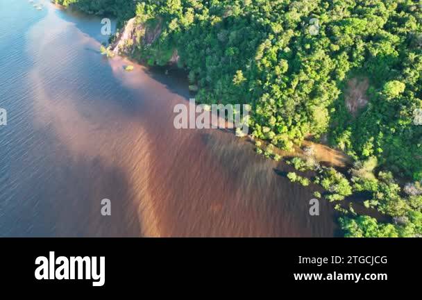 Nature aerial view of Amazon forest at Amazonas Brazil. Mangrove forest ...