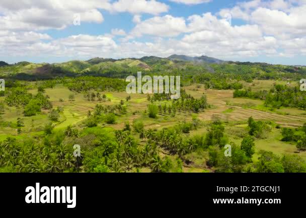 Tropical landscape: Rice fields and hills covered with tropical ...