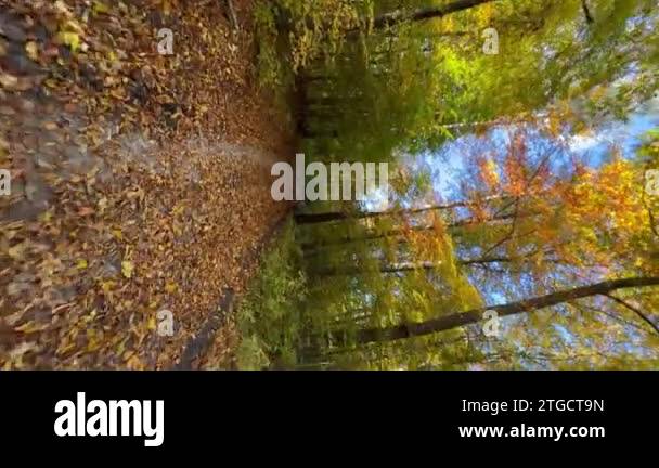 Part of the ecosystem Stock Videos & Footage - HD and 4K Video Clips ...