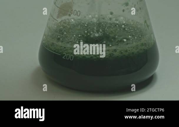 Put the fresh green mold juice into a container. Mix Trichoderma fungi ...