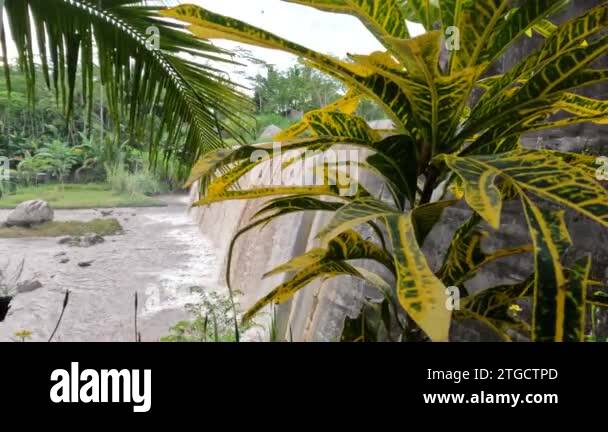 The view at a waterfall whose water is cloudy because it carries mud ...