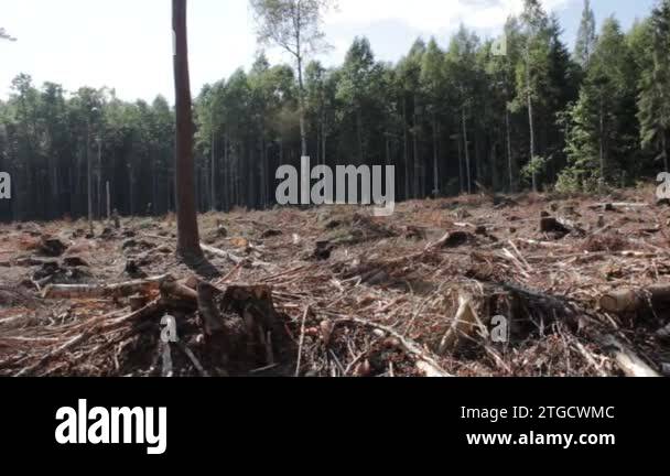 Devastated environment Stock Videos & Footage - HD and 4K Video Clips ...