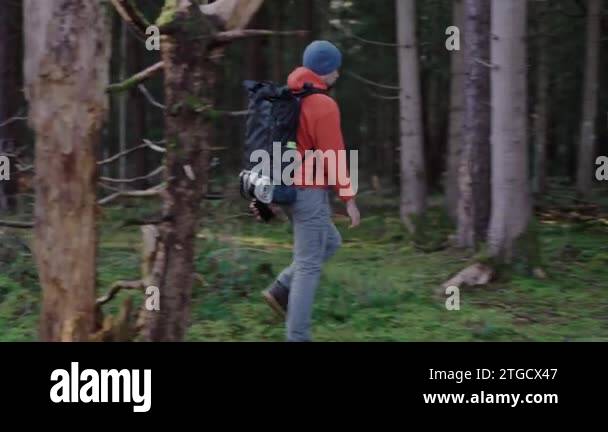 Hiking, forest, travel, active healthy lifestyle, adventure, vacation ...