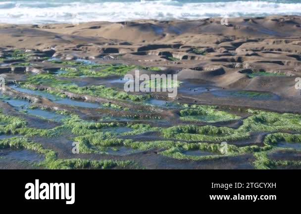 Eroded rock formation, tide pool in La Jolla, California coast, USA ...