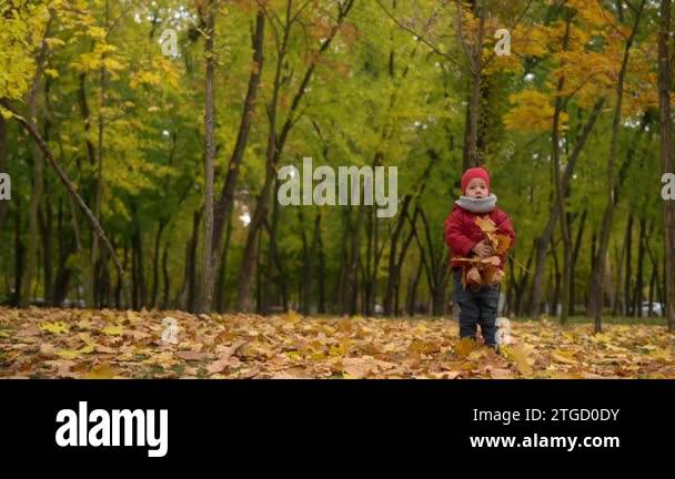 Little boy looking up falling Stock Videos & Footage - HD and 4K Video ...