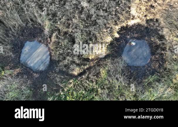 Amphibian conservation Stock Videos & Footage - HD and 4K Video Clips ...