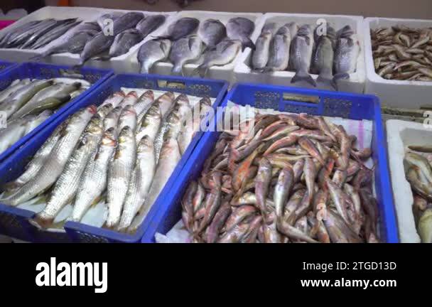 Fresh seafood market in Batumi Georgia. Live fish in ice. Flounder, red ...