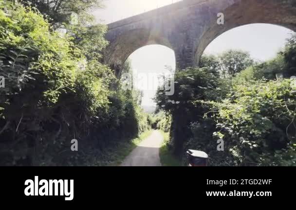 A beautiful view of South Devon Railway Viaduct Bridge with green ...