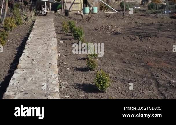 Gardener at work backyard garden worker Stock Videos & Footage - HD and ...