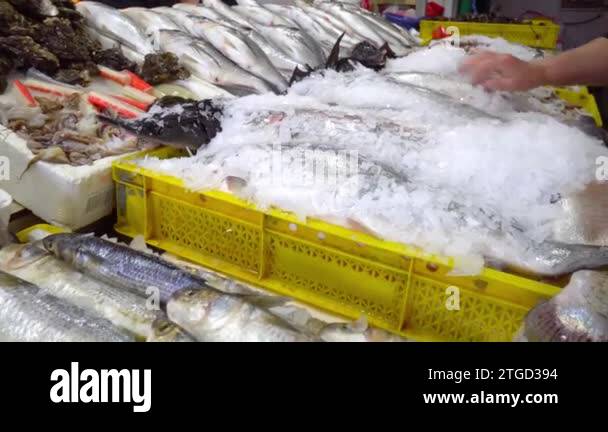 Fresh seafood market in Batumi Georgia. Live fish in ice. Flounder, red ...