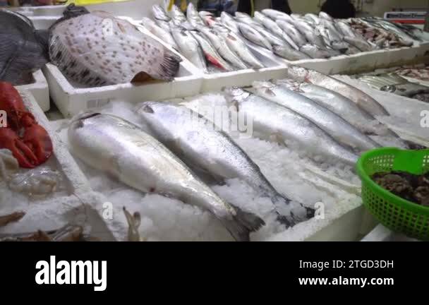 Fresh seafood market in Batumi Georgia. Live fish in ice. Flounder, red ...