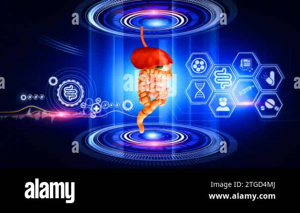 Human Digestive System Virtual RealityA virtual reality 3d graphics ...