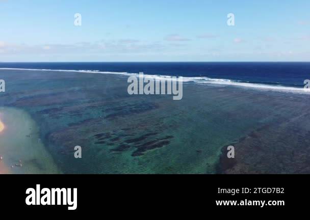 Shark beach bay net Stock Videos & Footage - HD and 4K Video Clips - Alamy