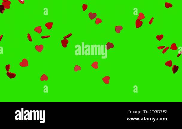 Falling red hearts on a chroma key background. 3D rendering of ...