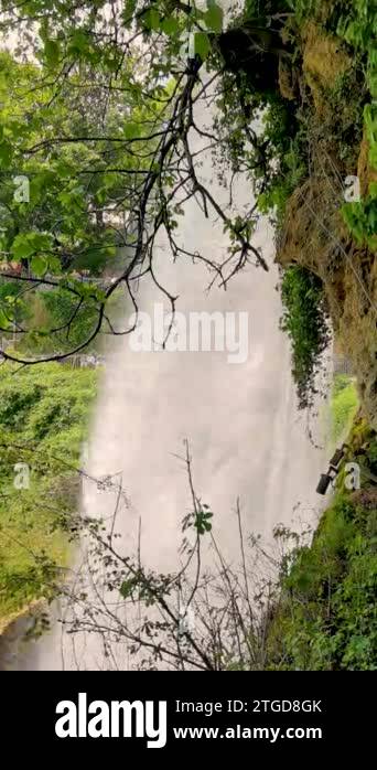 Green trees and water flow Stock Videos & Footage - HD and 4K Video ...