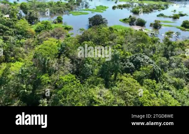 Boat sailing at Amazon river at Amazon forest at Amazonas state Brazil ...