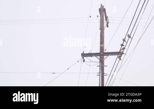 Wooden power pole power lines Stock Videos & Footage - HD and 4K Video ...