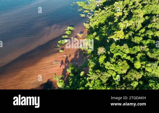 Nature aerial view of Amazon forest at Amazonas Brazil. Mangrove forest ...