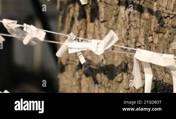 Oracles at Japanese traditional shrine closeup. Chiyoda district Tokyo ...