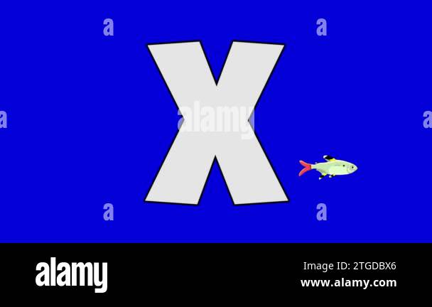 X ray fish Stock Videos & Footage - HD and 4K Video Clips - Alamy