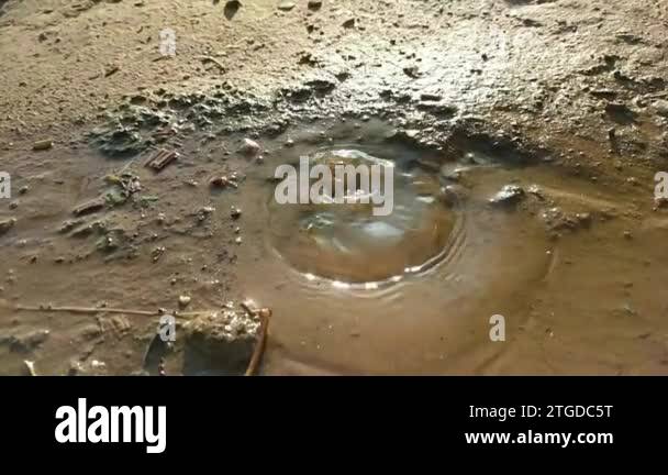 Water drop on dirty concrete floor, rain drop on walkway, reflection ...