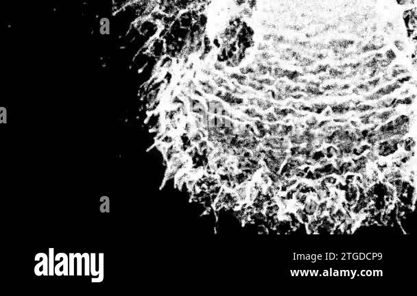 Millions of White Particles Fluid in slow motion masking all the screen ...