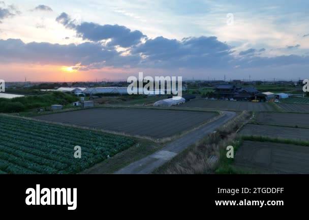Traditional japanese agriculture Stock Videos & Footage - HD and 4K ...