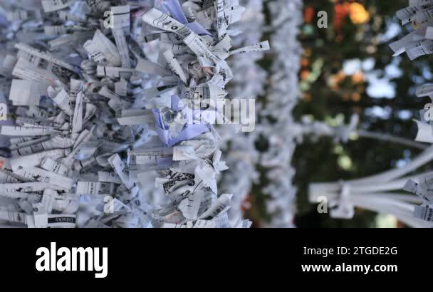 Oracles at Japanese traditional shrine vertical shot. Chiyoda district ...