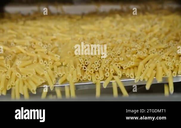 Macaroni factory. Production cycle of making pasta. Pasta is pouring ...