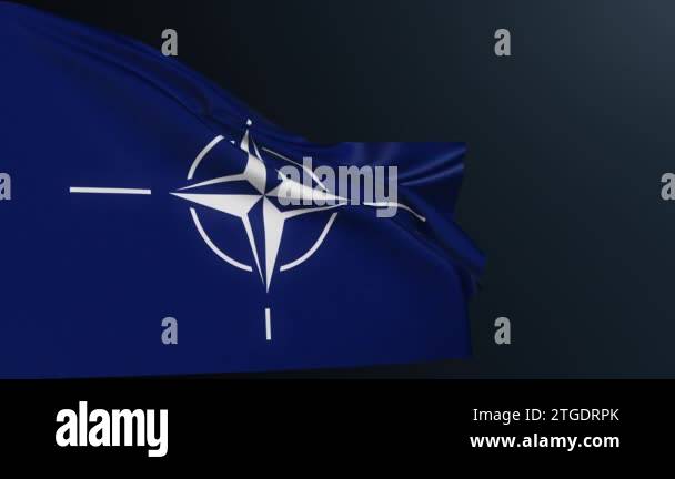 Compass rose sign Stock Videos & Footage - HD and 4K Video Clips - Alamy