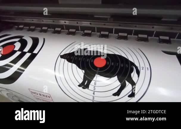 modern printer printing on wide format. Oracal photo printing. Head of ...