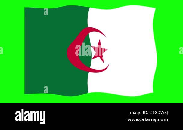 Algeria Waving Flag 2D Animation on Green Screen Background. Looping ...