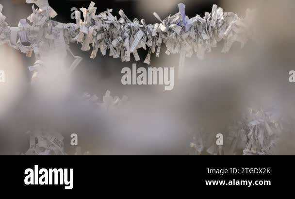 Oracles at Japanese traditional shrine focusing. Chiyoda district Tokyo ...