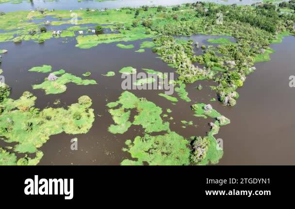 Amazon River at Amazon Rainforest. The biggest tropical rainforest of ...