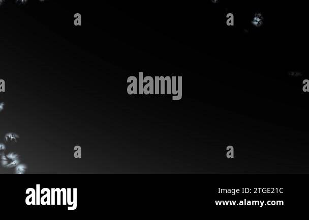 Snow vfx Stock Videos & Footage - HD and 4K Video Clips - Alamy