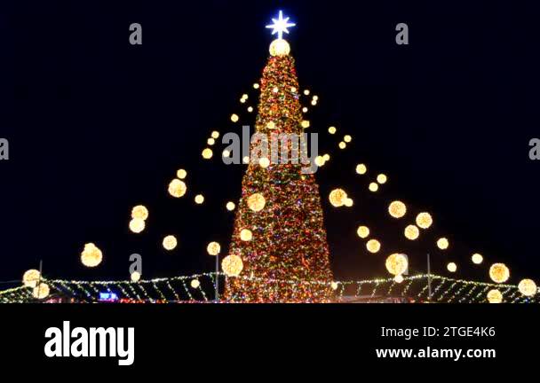 Beautiful Christmas tree and New Years tree decorated multi-colored ...