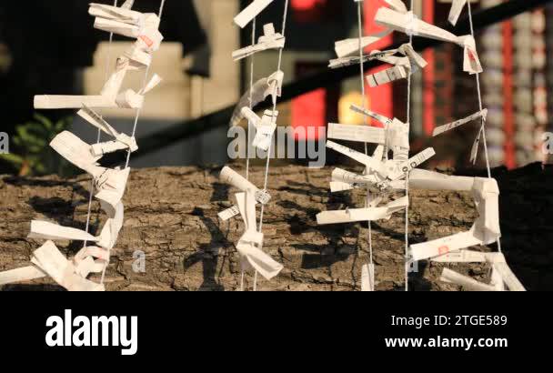 Oracles at Japanese traditional shrine vertical shot. Chiyoda district ...