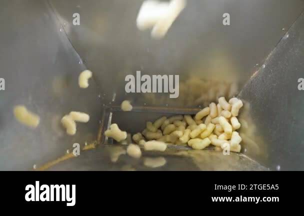 Yellow corn sticks falling down into a metal container. Automatic ...